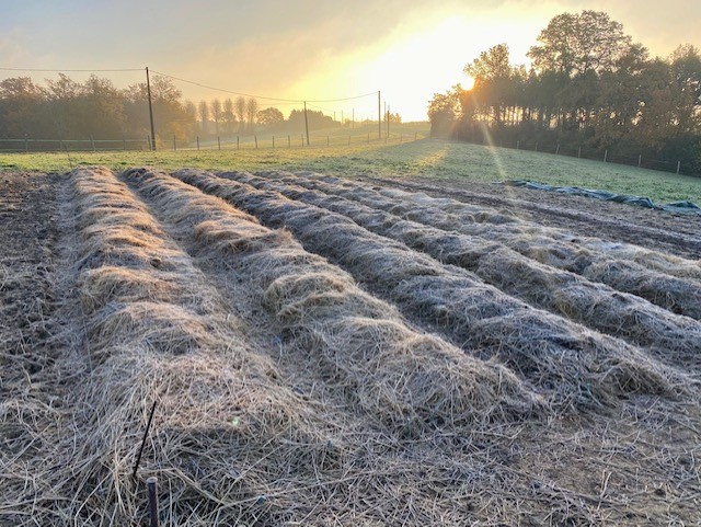 Les Jardins de Saubin | Maraîchage Biologique sur petite surface